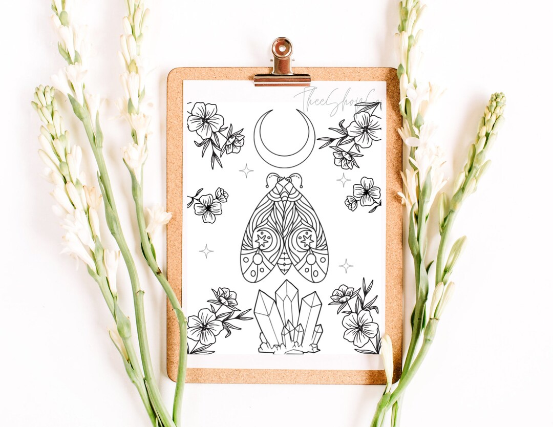 Moth Art Coloring Page/ Printable/ Digital Art/ Coloring Pages/ Pdf ...