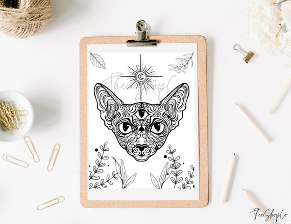 Sphynx Cat Coloring Page/ Digital Downloads/ Printable/ - Etsy Ireland