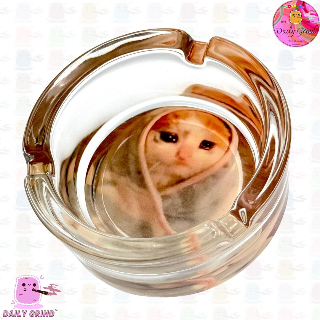 Sad Cat Wrapped up in a Blanket Funny Meme Cute Kitten Girls Solid ...