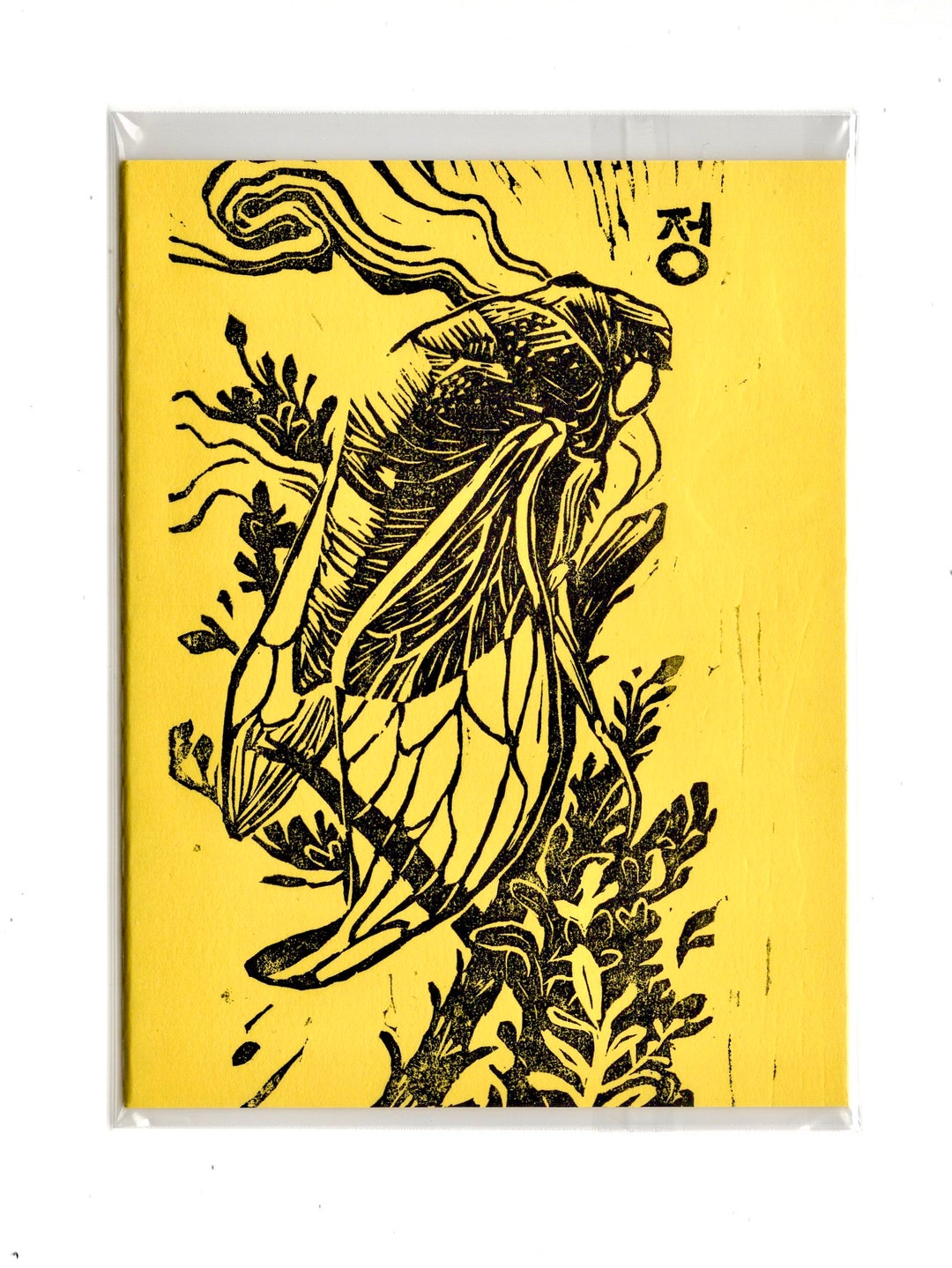 SOLD OUT- Cicada-linocut Print- Mini Sketch Book - Etsy