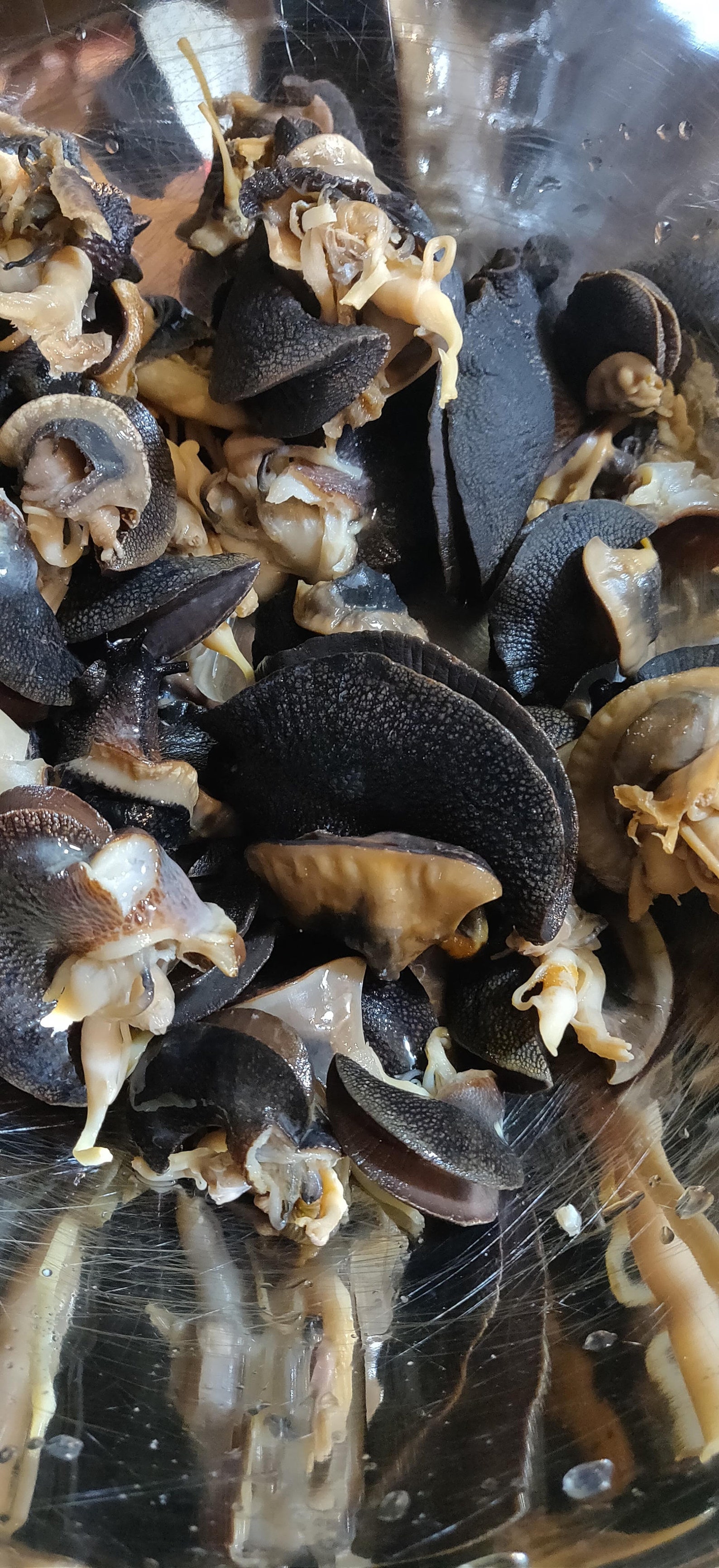 Fresh, Frozen Jumbo African Snails - 2 Lbs - Etsy