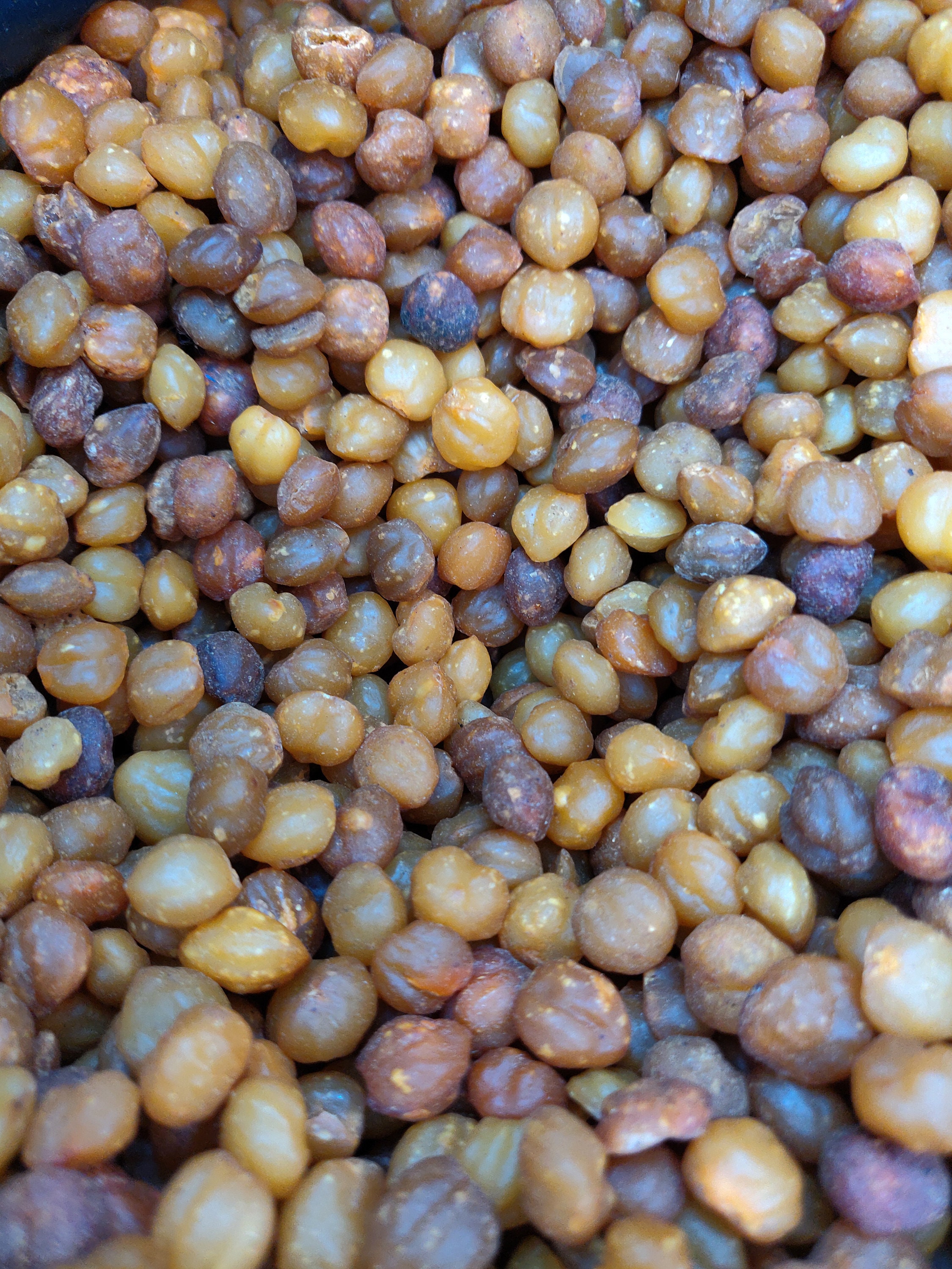 Akpi Seed Aka Djansang/ Njangsa - Etsy