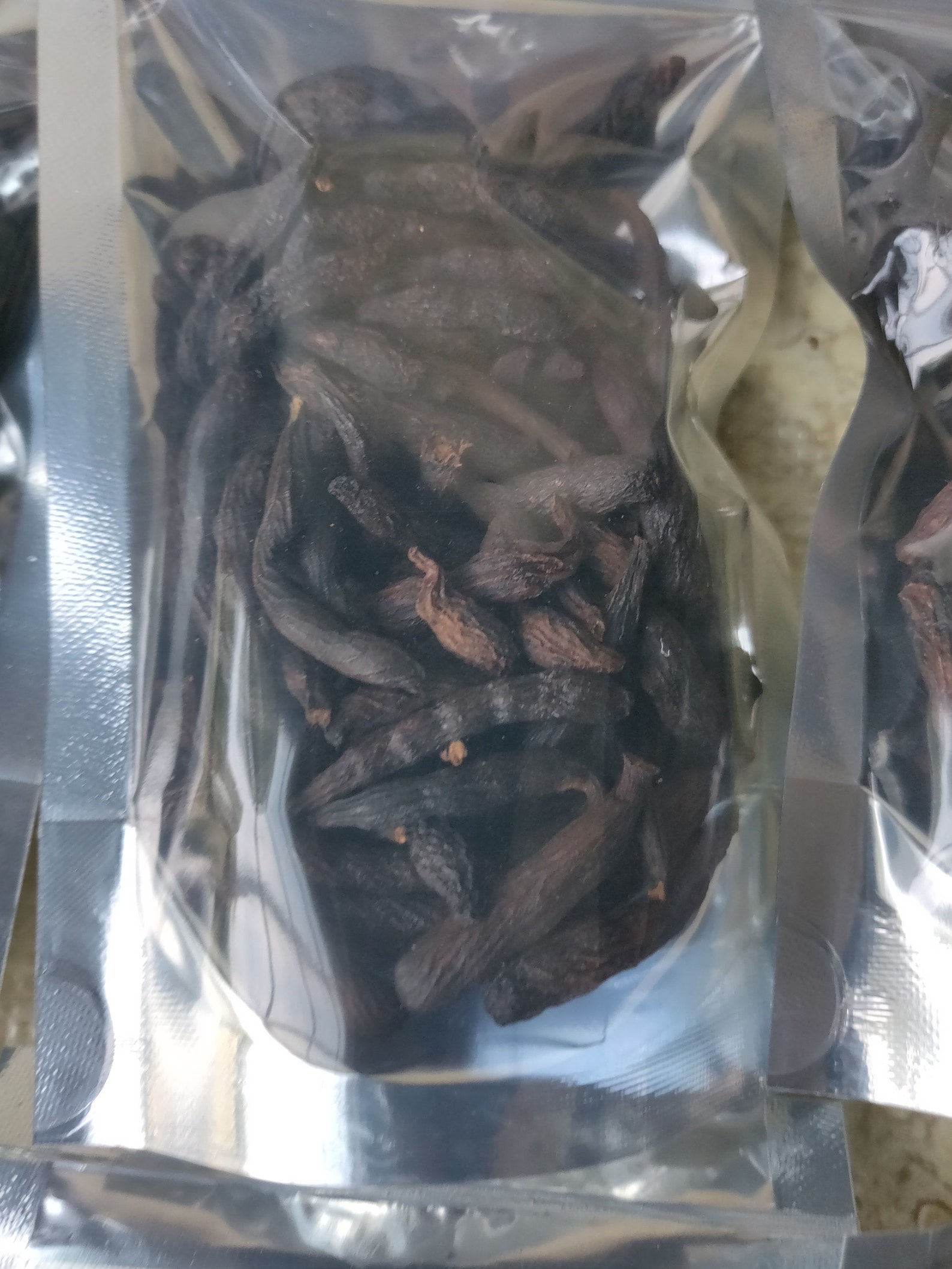 Uda Pods (grains of Selim) - Etsy