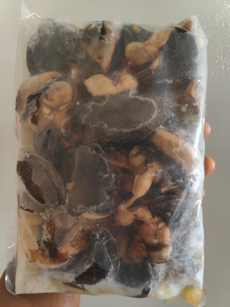 Fresh, Frozen Jumbo African Snails - 2 Lbs - Etsy
