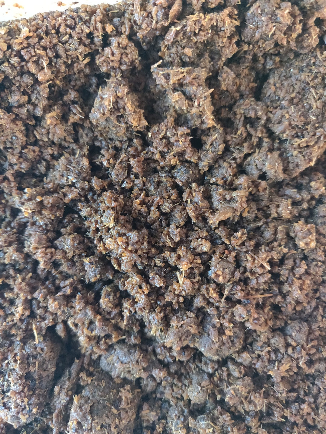 Smoked Dried Bonga shawa Fish Powder - Etsy