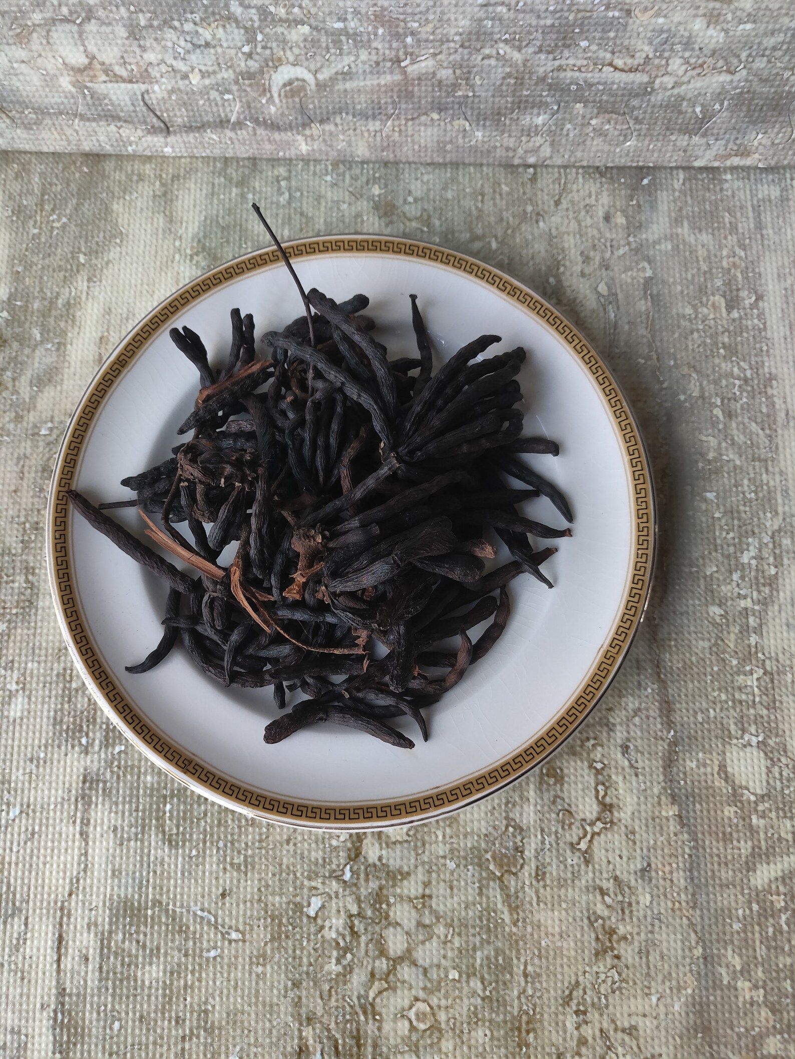 Uda Pods Grains of Selim | Etsy