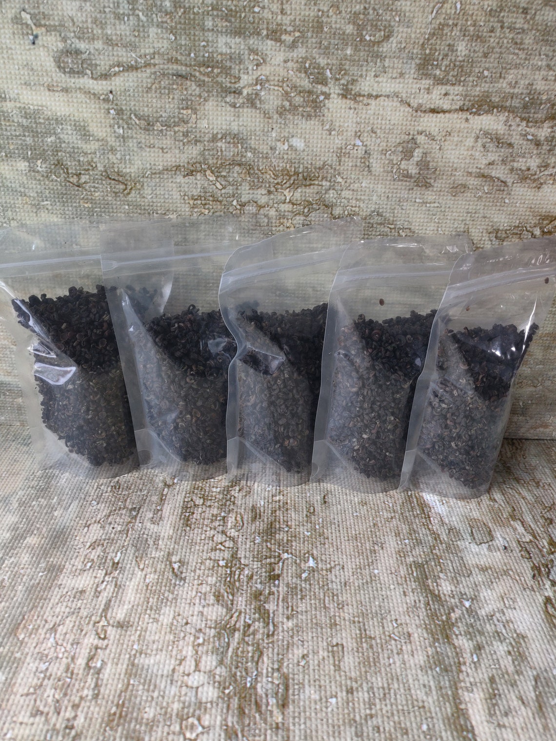 Smoked Dried Periwinkle aka Isam - Etsy