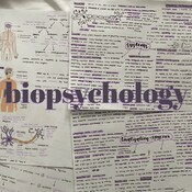 Ultimate Psychology A Level Revision Bundle AQA A Level Clear Concise ...