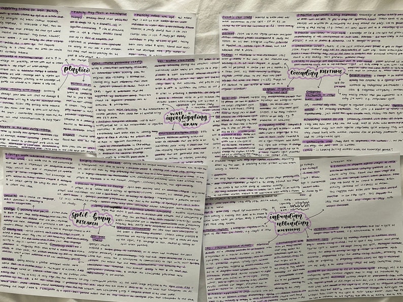 A Level Psychology Biopsychology Revision (AQA) - Etsy A Level Psychology Biopsychology Revision (AQA) - Etsy