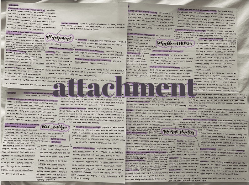 A Level Psychology Attachment Revision (AQA) - Etsy