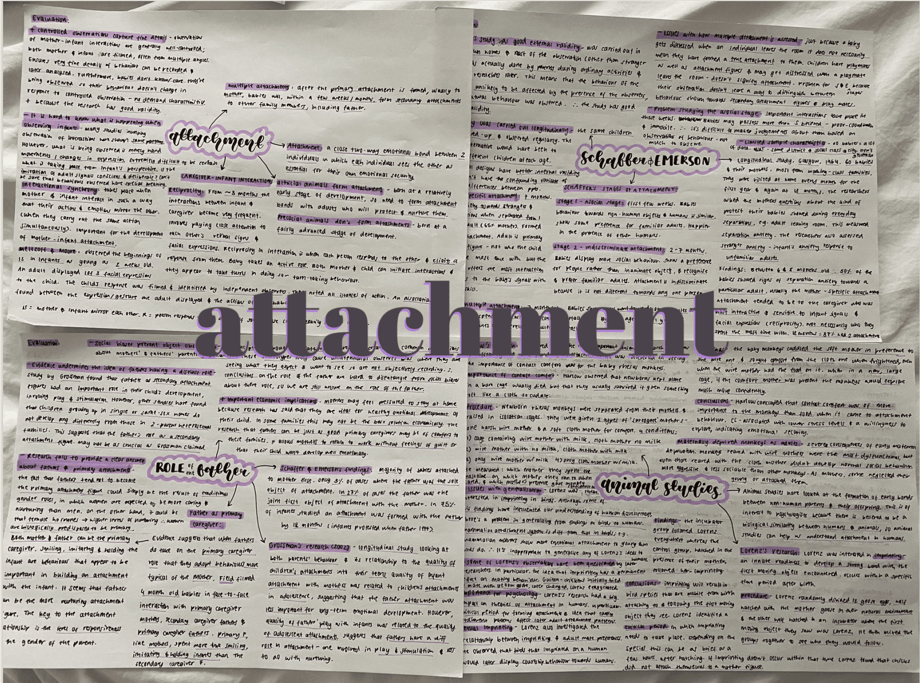 A Level Psychology Attachment Revision (AQA) - Etsy
