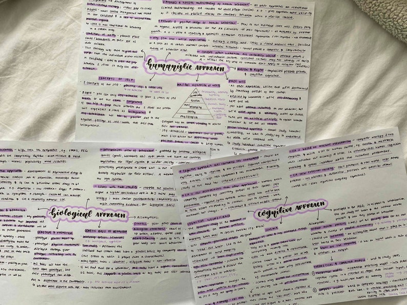 A Level Psychology Approaches Revision (AQA) - Etsy