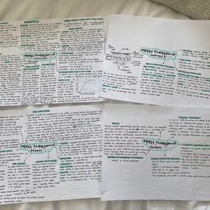 A Level Biology Exchange Revision (AQA) - Etsy