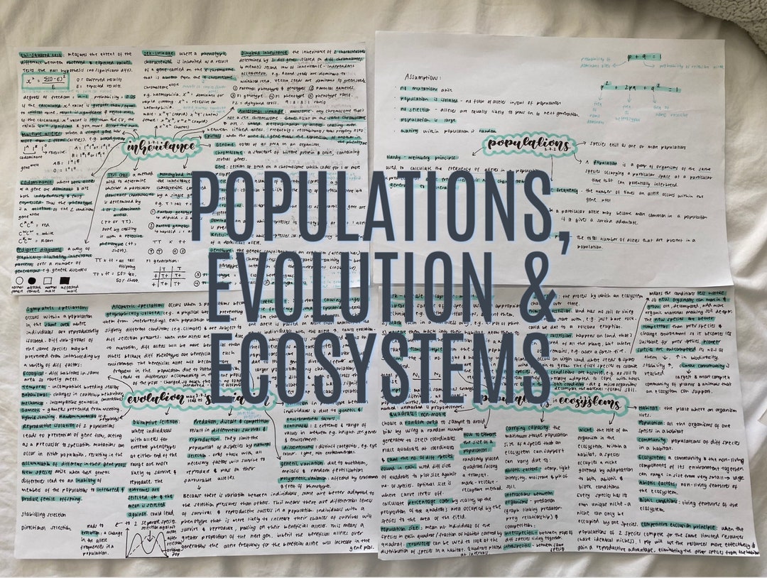 A Level Biology Populations, Evolution and Ecosystems Revision (AQA) - Etsy