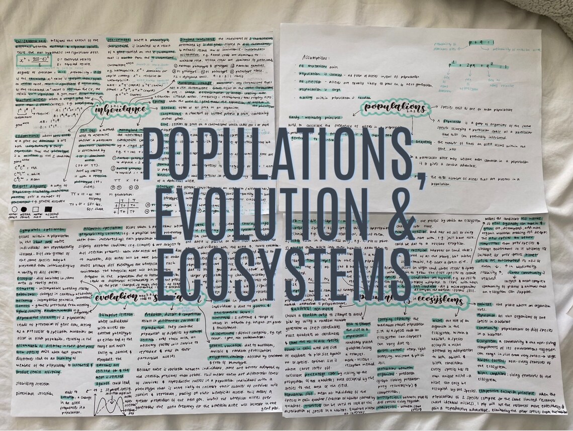 A level biology populations evolution and ecosystems revision - Etsy España