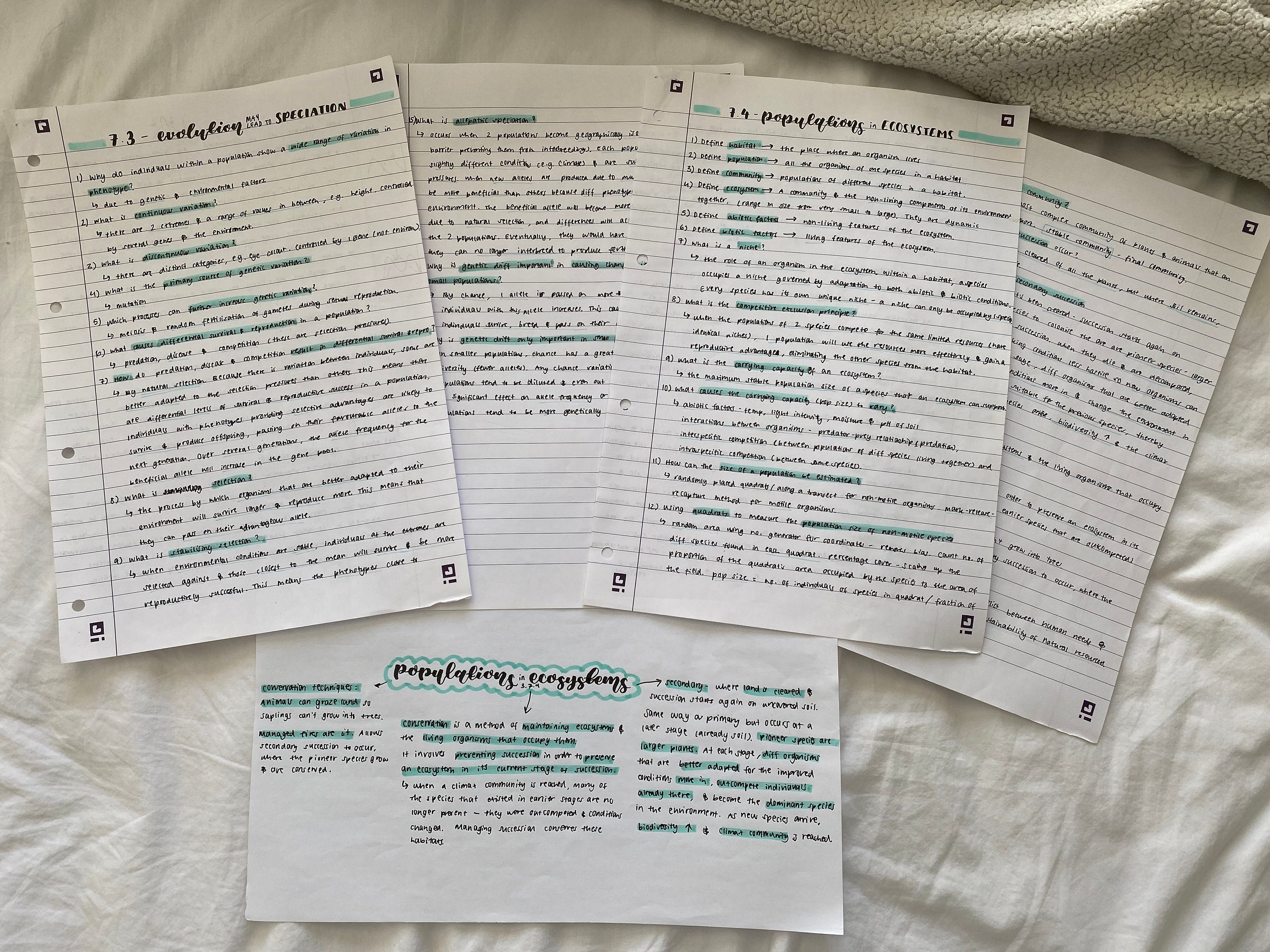 A level biology populations evolution and ecosystems revision - Etsy España