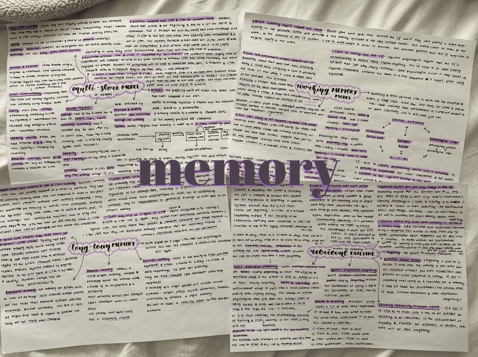 A Level Psychology Memory Revision (AQA) - Etsy UK