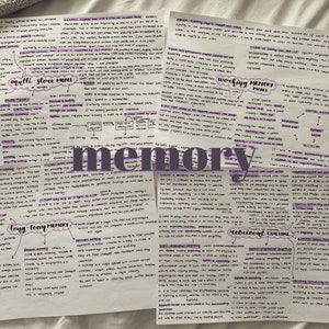 A Level Psychology Memory Revision (AQA) - Etsy