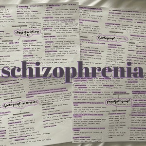 A Level Psychology Schizophrenia Revision (AQA) - Etsy