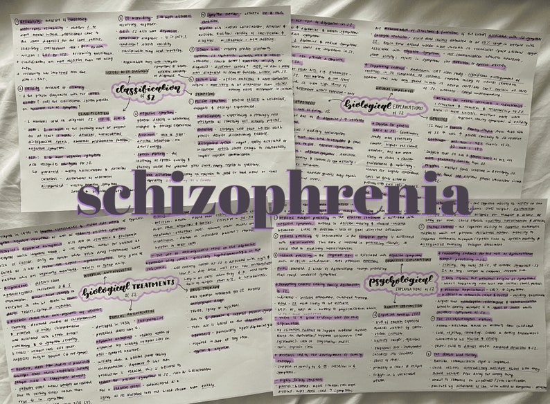 A Level Psychology Schizophrenia Revision (AQA) - Etsy