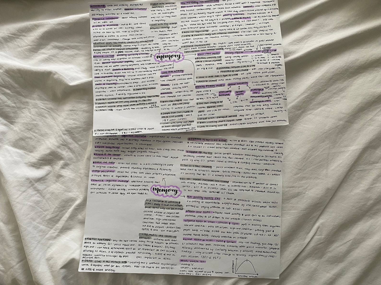 A Level Psychology Memory Revision (AQA) - Etsy