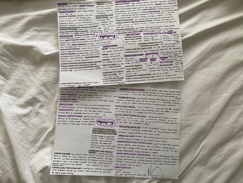 A Level Psychology Memory Revision (AQA) - Etsy