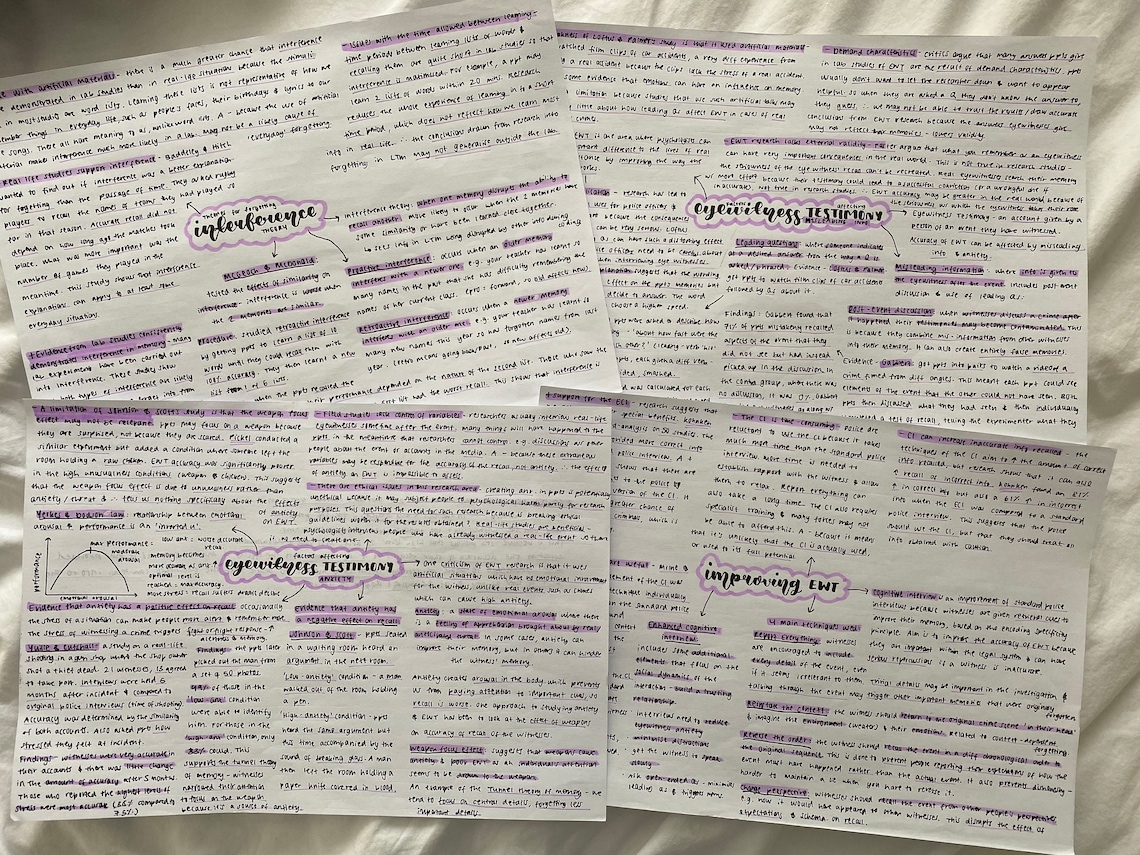 A Level Psychology Memory Revision (AQA) - Etsy