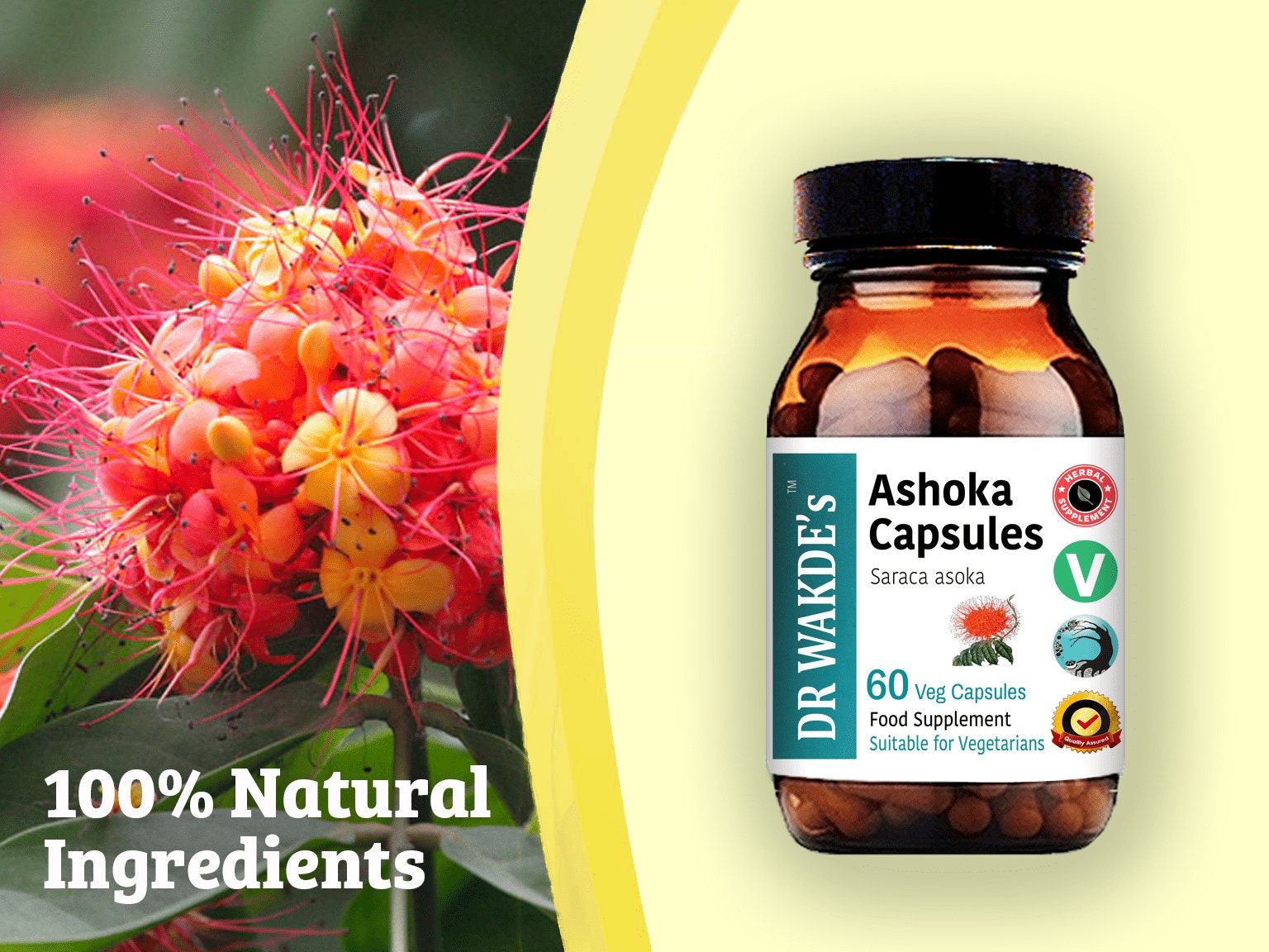 DR WAKDE'S Ashoka Capsules (saraca Asoka) | 60 Veg Caps | Ayurvedic ...