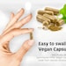 DR WAKDE'S Ashoka Capsules saraca Asoka 60 Veg Caps Ayurvedic ...