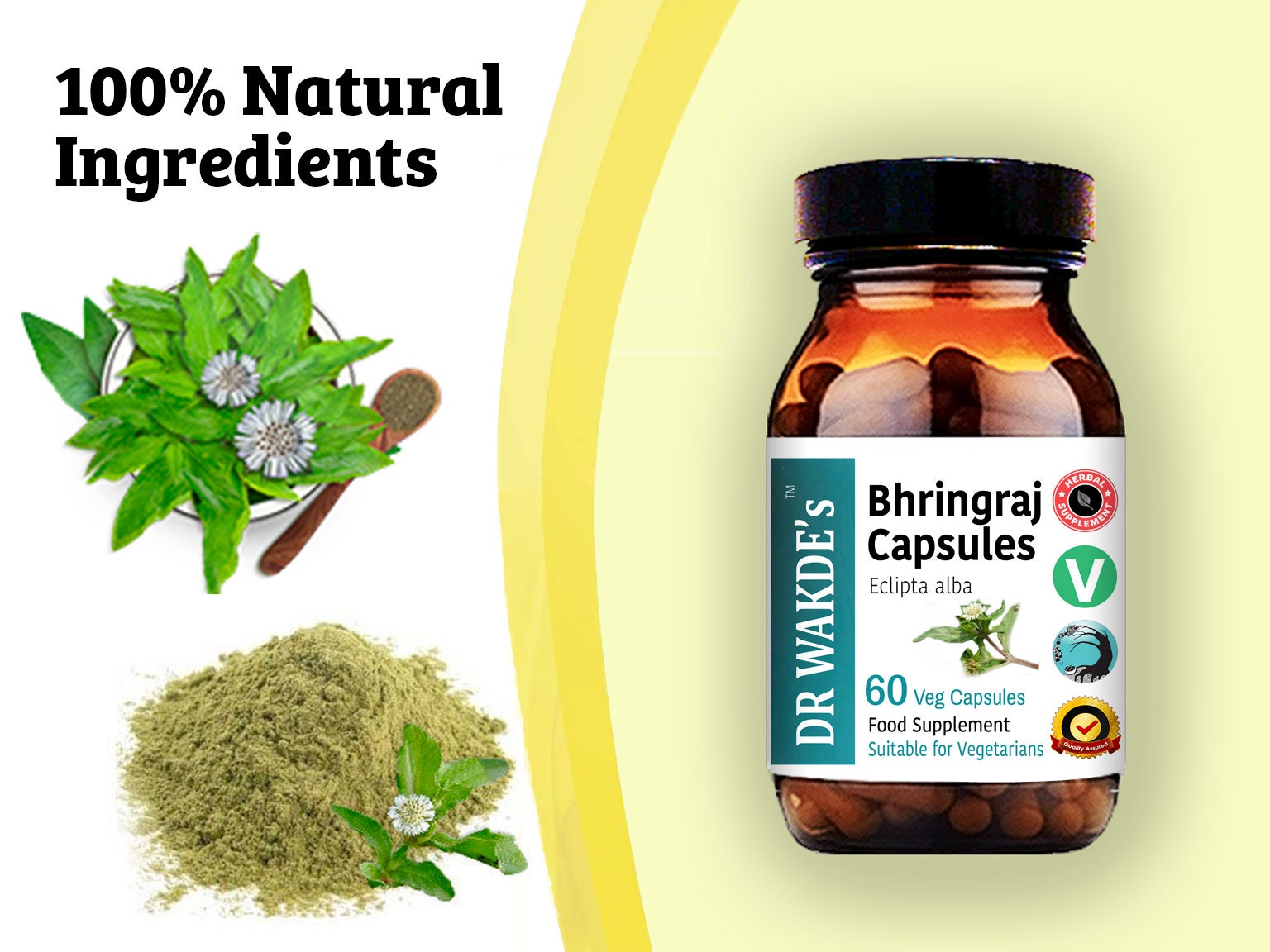 DR WAKDE'S Bhringraj Capsules (false Daisy | Eclipta Alba) | 60 Veg ...