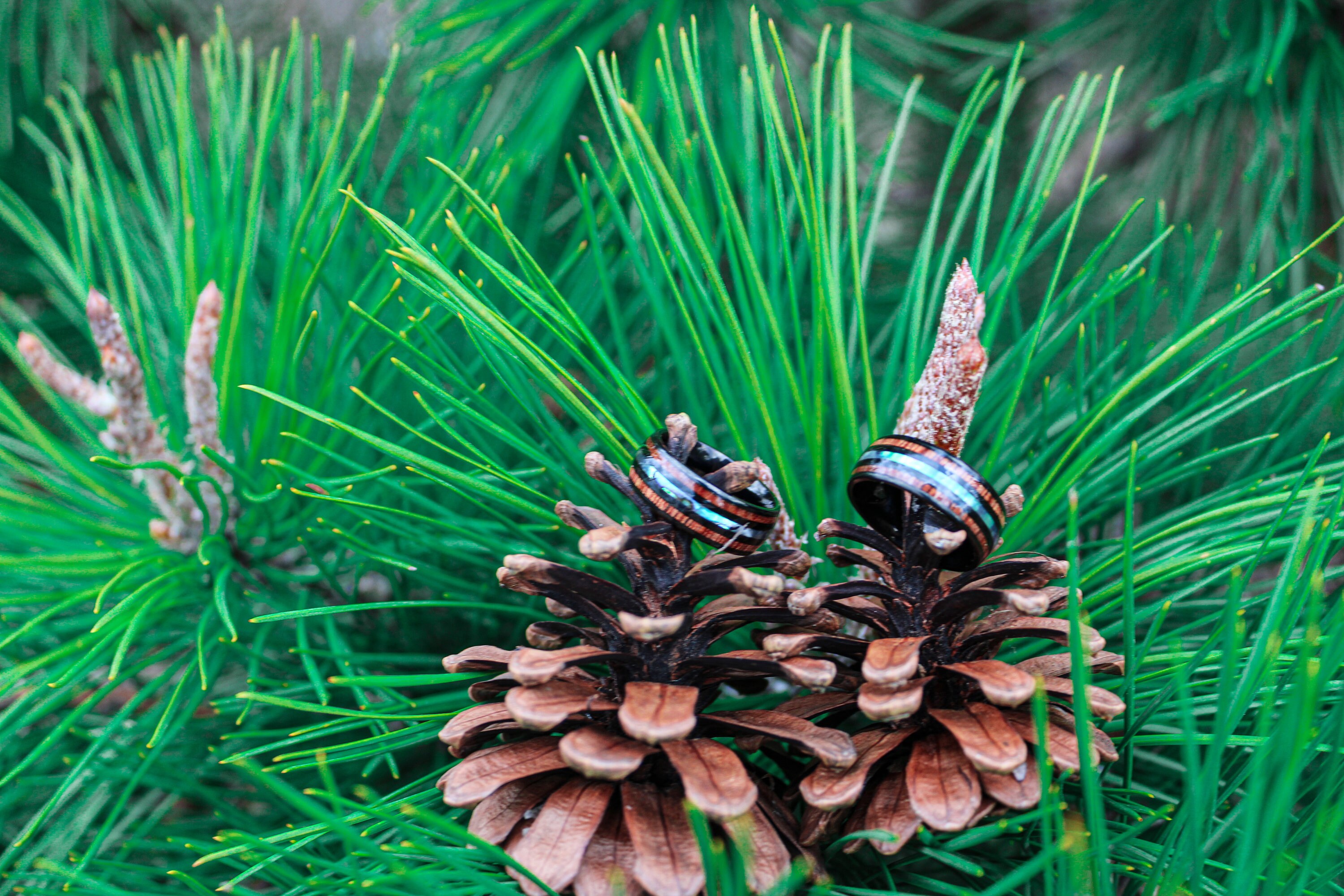 Natural Handmade Pines Wood Men's and Women's - Etsy