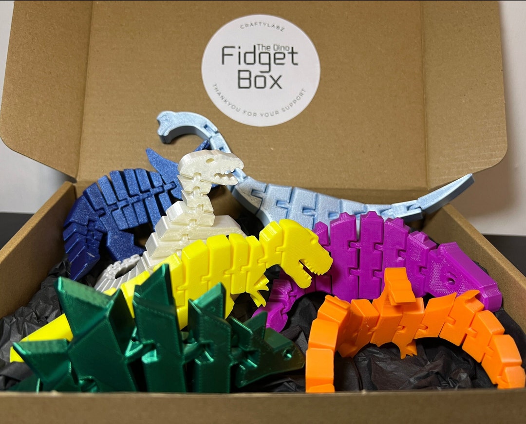 Dino Fidget Box | Dinosaur Fidget Toys - Etsy