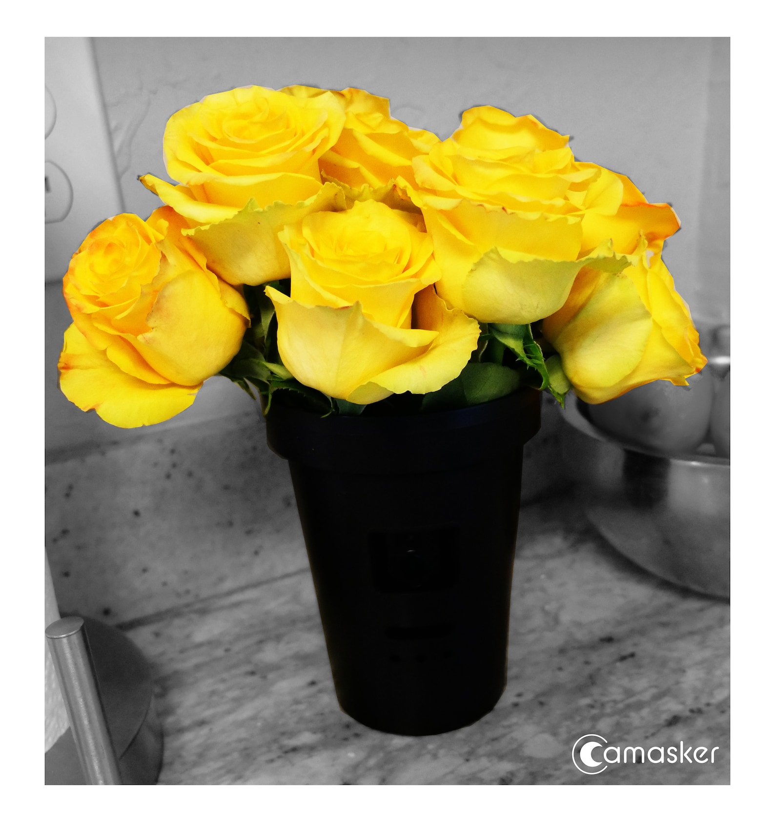 Hide Ring Camera | CAMASKER for Ring Indoor Cam & Ring Stick up Cam - Etsy