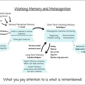 Flowchart on Working Memory and Metacognition - Etsy