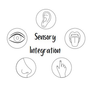 The Senses- Sensory Integration - Etsy