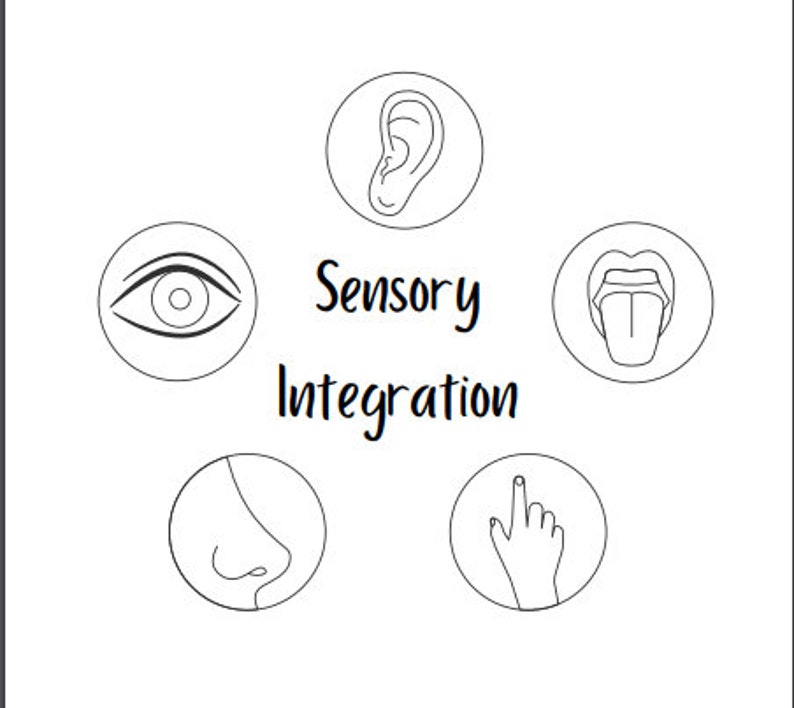 The Senses- Sensory Integration - Etsy