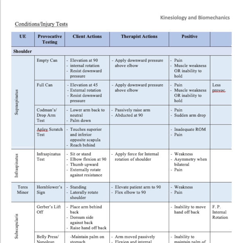Kines/biomechanics ROM & MMT - Etsy