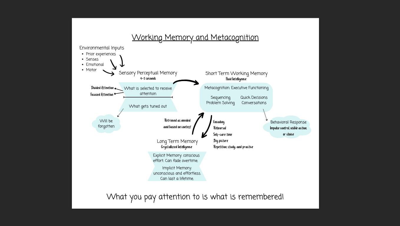 Flowchart on Working Memory and Metacognition - Etsy