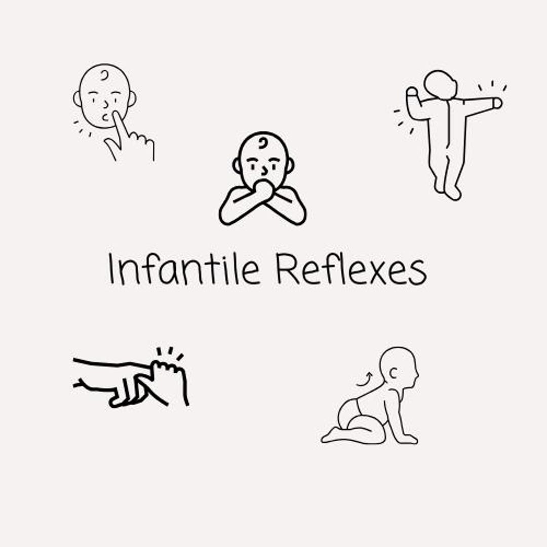 Infant Reflexes Guide | Baby Development Learning Resource - Etsy