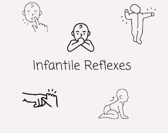 Infant Reflexes Guide | Baby Development Learning Resource - Etsy