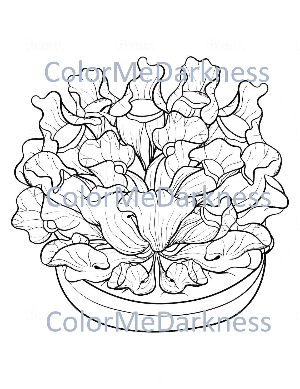 12 Coloring Pages "color Me Carnivorous: Sarracenia Vol. I" 12 Pages ...