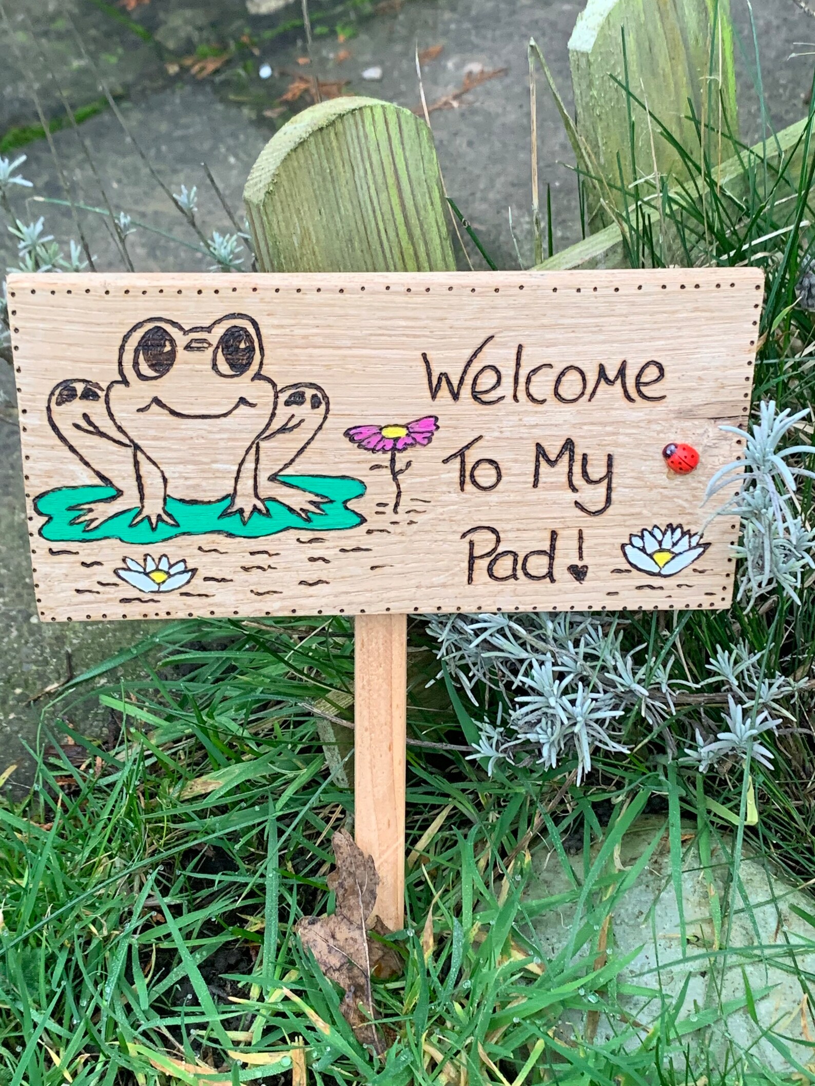 Frog and Toad Garden Sign Can Be Personalised Pond Sign - Etsy UK