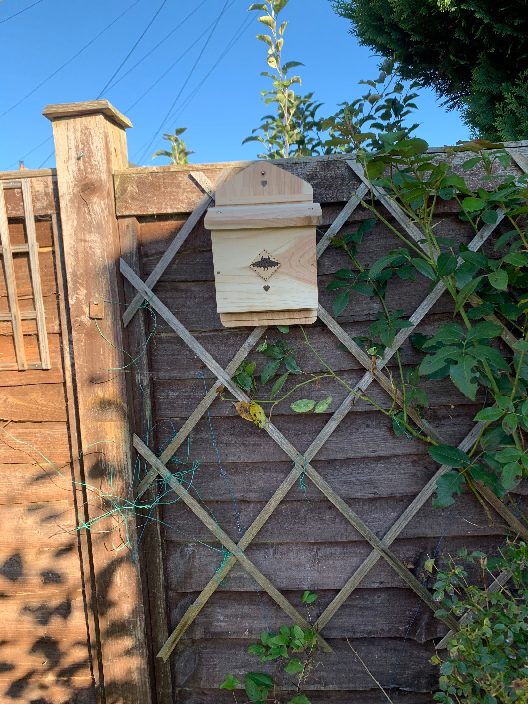 Bat Box Bat House Single Chamber Bat Box - Etsy UK