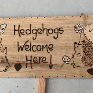Hedgehog Garden Sign Solid Wood - Etsy
