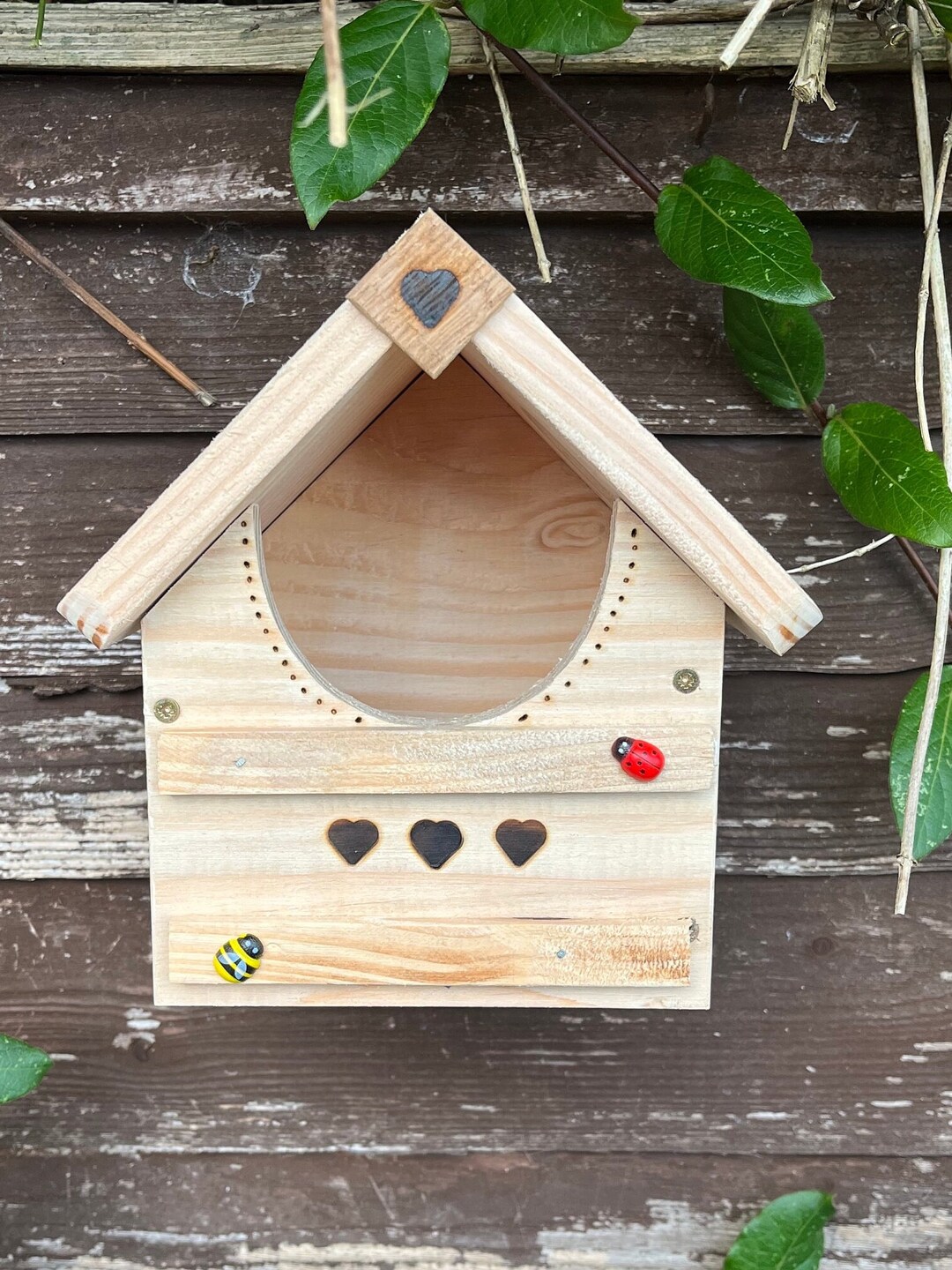 Robin and Wren Small Open Fronted Nesting Box Bird House - Etsy