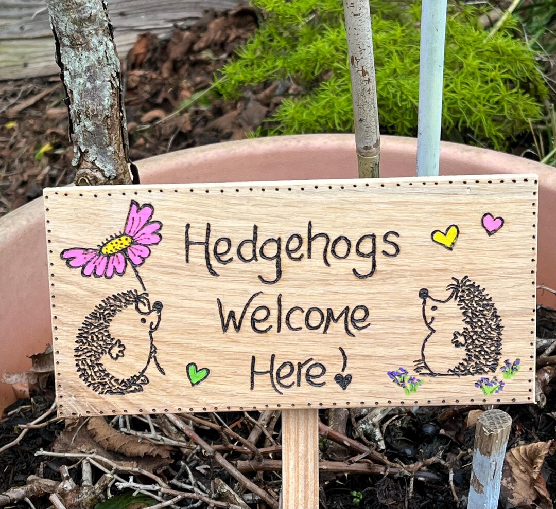 Hedgehog Garden Sign Solid Wood - Etsy UK