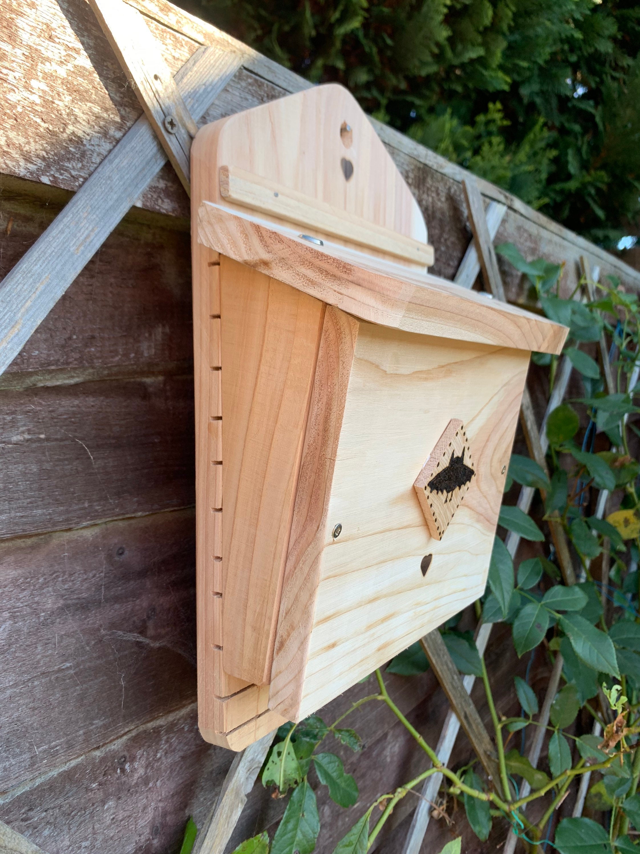 Bat Box Bat House Single Chamber Bat Box - Etsy UK