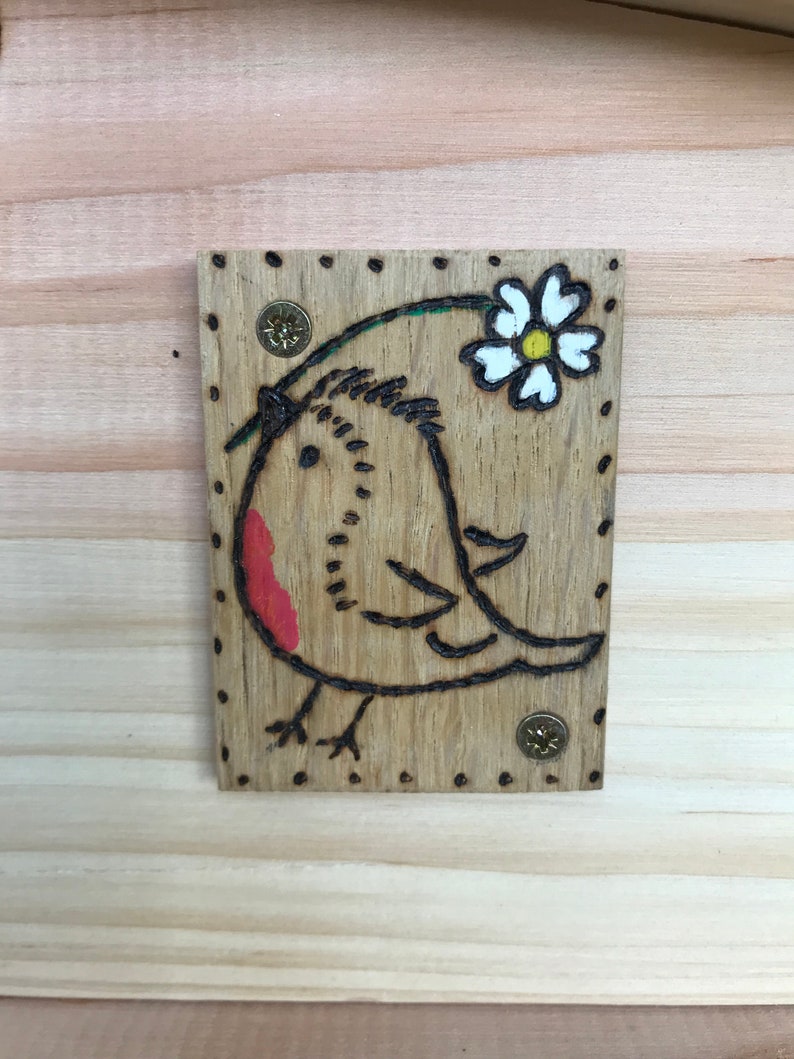 Robin and Wren Open Front Nesting Box Bird House - Etsy