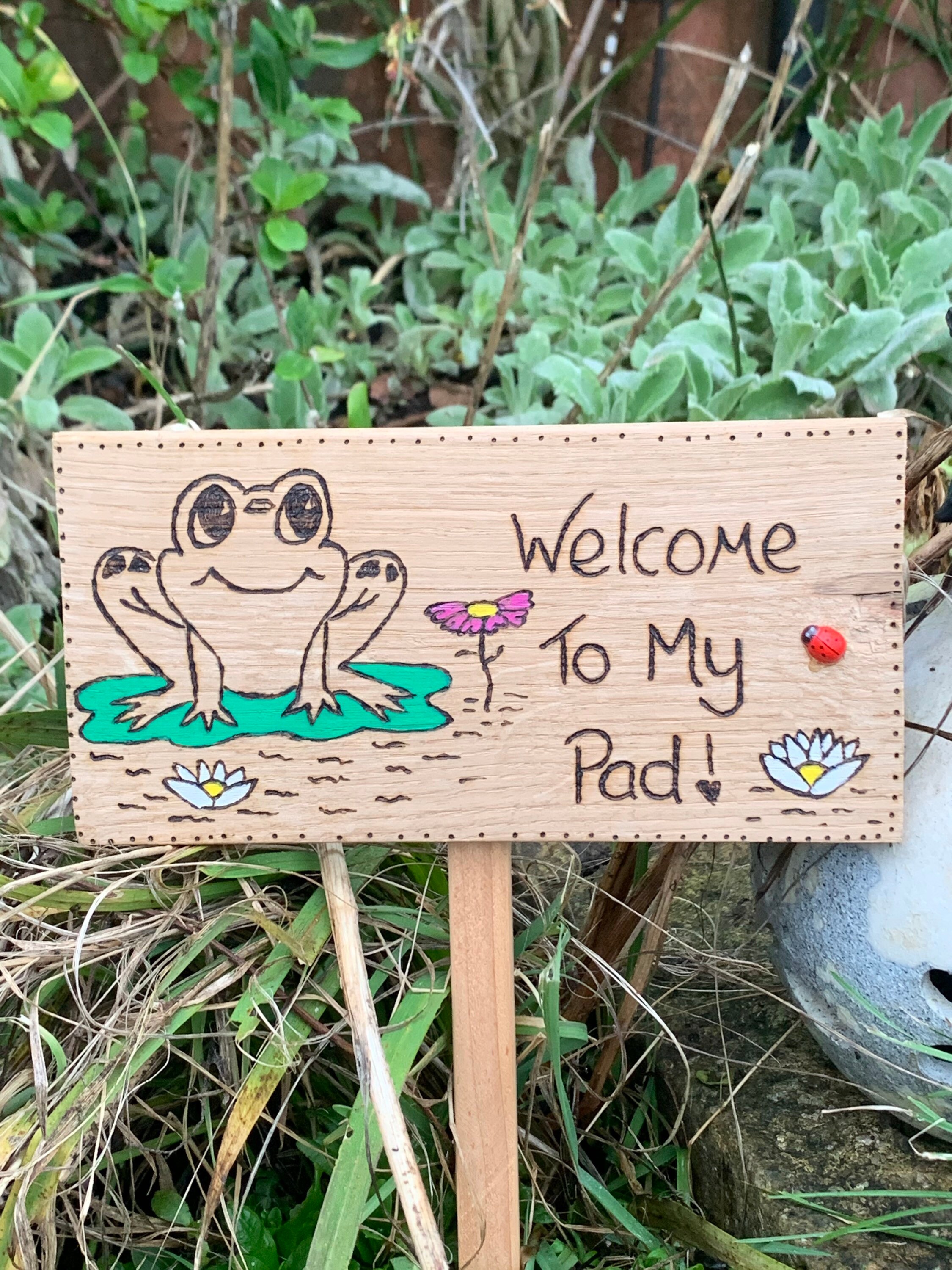 Frog and Toad Garden Sign Can Be Personalised Pond Sign - Etsy UK