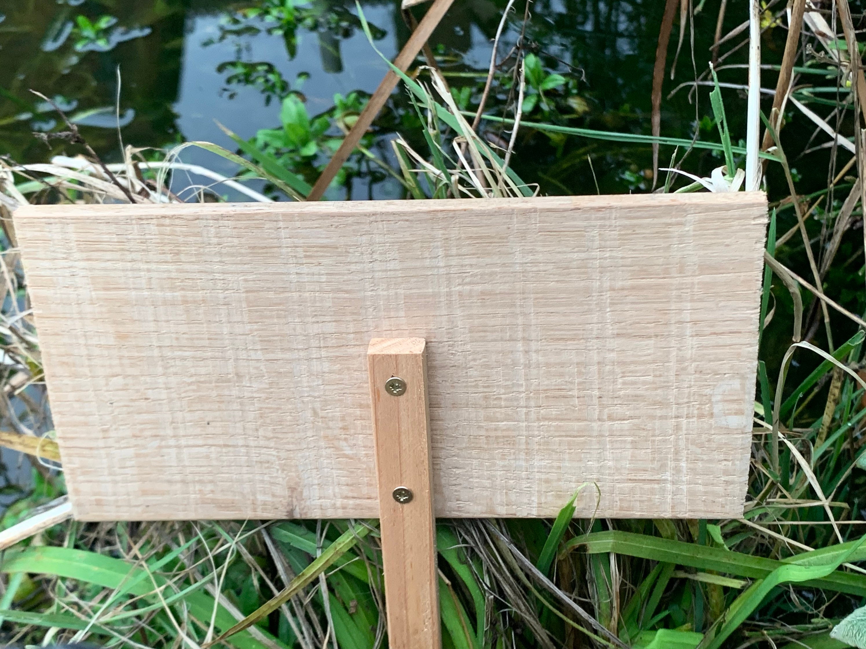 Frog and Toad Garden Sign Can Be Personalised Pond Sign - Etsy UK